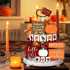 Sumind 15 Pcs Fall Tiered Tray Decor Set Hello Fall Decor Autumn Wood Signs Thanksgiving Orange Brown Table Signs Farmhouse Wooden Maple Pumpkin Gnomes Tabletop for Festival Home Decor(Autumn)