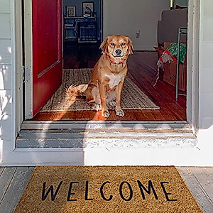 MAINEVENT Welcome Door Mat 30x17 Inch, Thick Welcome Mat Outdoor, Welcome Outdoor Mat Front Door Entrance, Thick Non-Slip PVC Backing Welcome Entry Doormat for Front Door, Welcome Mat