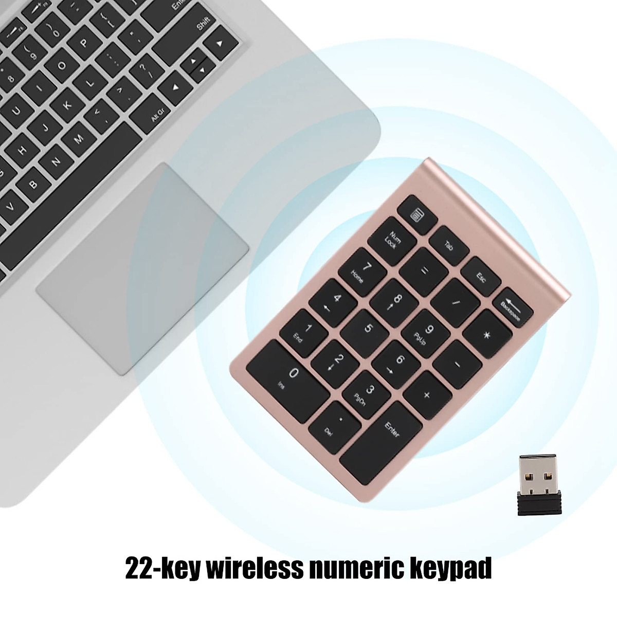 22 Keys Numeric Keypad, Number Pads BT Number Pad 22 Keys BT Number Pad for Laptop Pc Desktop Notebook (Rose Gold)