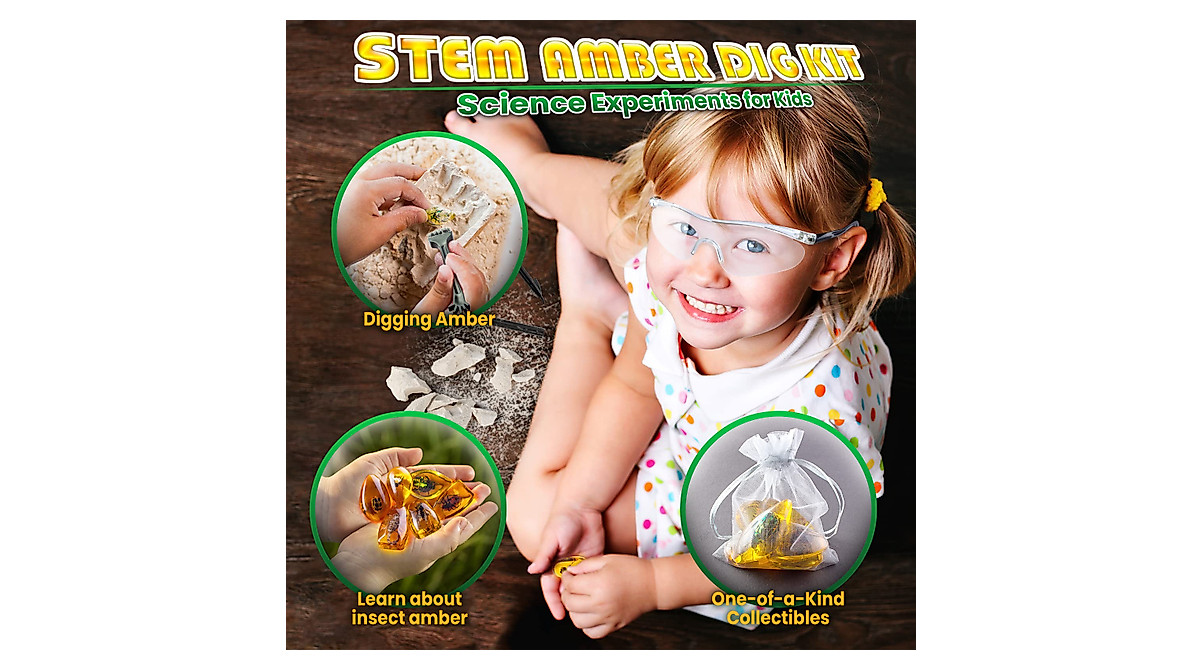 Amber Dig Kit for Kids Age 6+ | STEM Excavation & Bug Collection