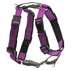PetSafe 3 in 1 Dog Harness - No Pull Solution for Dogs - Reflective Dog Harness - Front D-Ring Clip Helps Stop Pulling - Comfortable Padded Straps - Top Handle Enhances Control - Plum - Extra Small