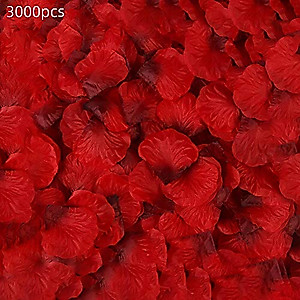 huaao 3000pcs Red Rose Petals for Romantic Night for Bedroom,10pcs Red Heart Balloons 1pcs Love Valentines Day Balloons Anniversary Birthday Honeymoon Wedding Flower Party Supplies DIY Decorations for bedroom