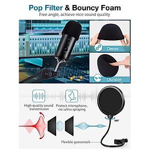 InnoGear Microphone Arm Stand, Heavy Duty Suspension Mic Boom Scissor with Mic Clip,Pop Filter,Windscreen,5/8in to 3/8in,5/8in to 1/4in Adapter,Cable Ties for Blue Yeti Nano Snowball Other Mics Black