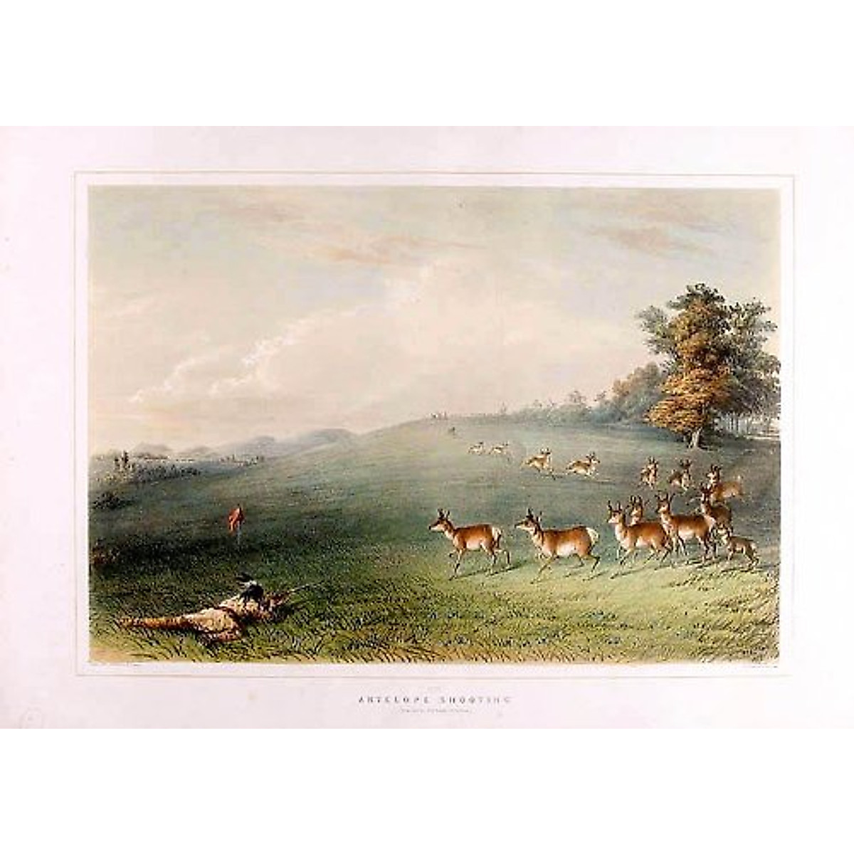 Antelope Shooting