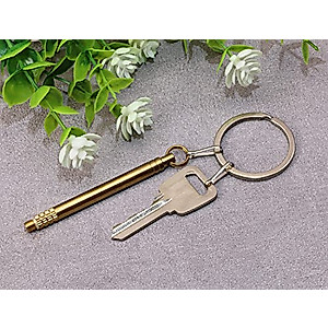Mini Skater 0.63Inch Mini Metal Spring Hooks, Tiny Stainless Steel Lanyards Snap Clip Hooks, Keyring Accessory for Purse,Curtains,Jewelry Ring Craft and ID Card Key Chain Clip Parts(Silver, 200Pcs)