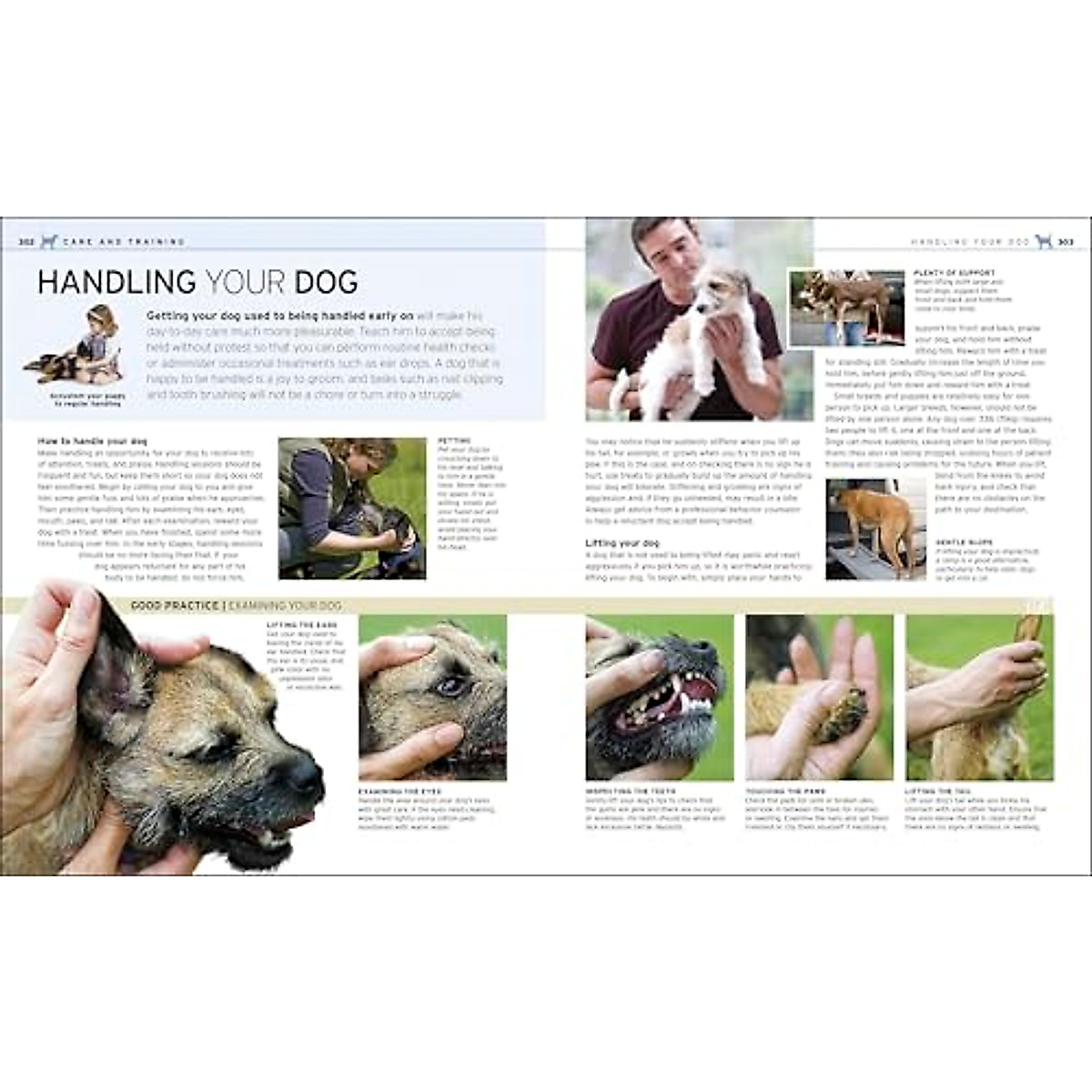 The Complete Dog Breed Book, New Edition (DK Definitive Pet Breed Guides)