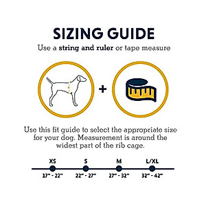 Ruffwear, Front Range Dog Day Pack, Backpack with Handle for Hikes & Day Trips, Aurora Teal, Large/X-Large