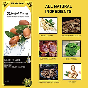 Joyful Young Natural Hair Dye Shampoo - Black - Semi Permanent Hair Coloring Shampoo for Women and Men - Gray Hair Coverage - Color Shampoo Beard Dye - Vegan Ammonia Free Hair Shampoo