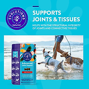Evolutions by NaturVet Advanced Joint Support 180ct Soft Chews for Dogs - Anchovy Oil, Bone Broth, Collagen, Glucosamine, Turmeric, MSM - Helps Support Synovial Fluid, Cartilage, Connective Tissues