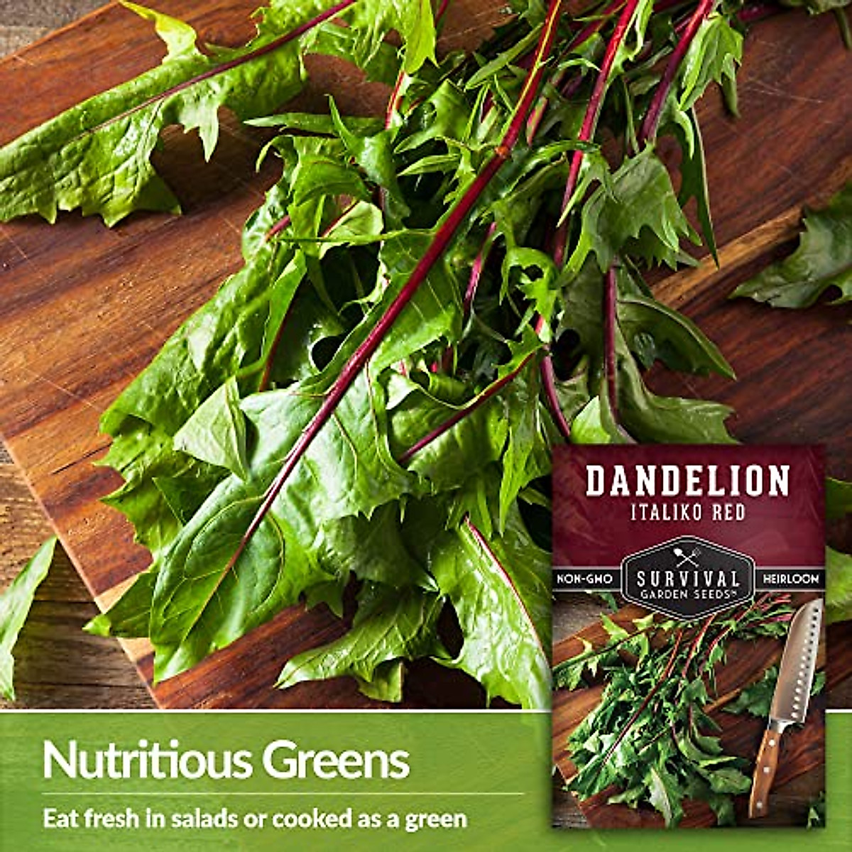 Survival Garden Seeds - Italiko Red Dandelion Seed for Planting - Packet with Instructions to Plant and Grow Nutritious Italian Chicory Greens in Your Home Vegetable Garden - Non-GMO Heirloom Variety