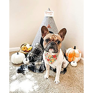 2 Pack Fall Dog Bandanas Thanksgiving Bandanas for Cat Triangle Medium Large Dog Scarf Pets Bibs