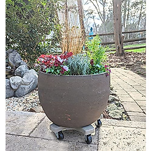 Bosmere S14450 Down Under Plant Caddie, Heavy Duty Plant Stand with Wheels, 500lb Capacity, 14-Inch, Light Gray