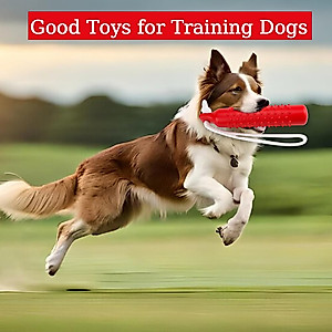 Aohcae Dog Float Toy, 100% Natural Rubber Dog Bumper with Rope - Dog Training Toys, Interactive Dog Fetch Toys Suit for Small, Medium, Large Dogs