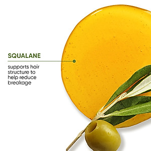 Biolage Strength Recovery Conditioning Cream | Strengthening Conditioner | Moisturizes, Adds Softness & Repairs Damage | For Damaged & Sensitized Hair | Vegan | Cruelty-Free | 33.8 Fl. Oz, pack of 1