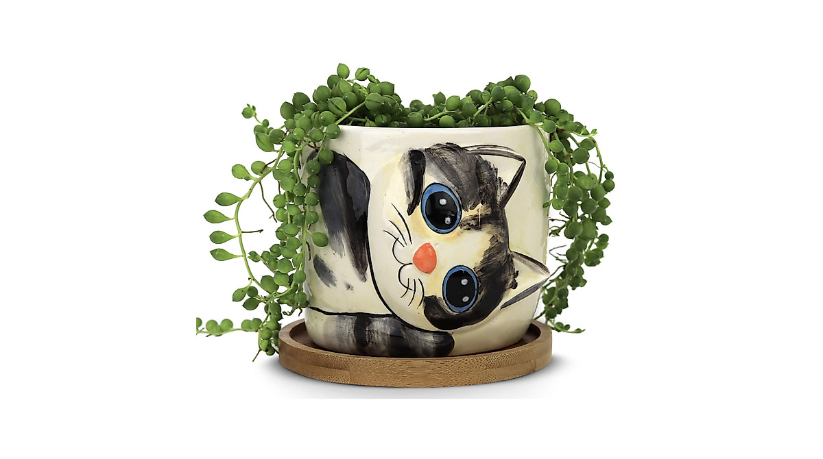 Cute Cat Planter - Sebby & Barney for Indoor Plants