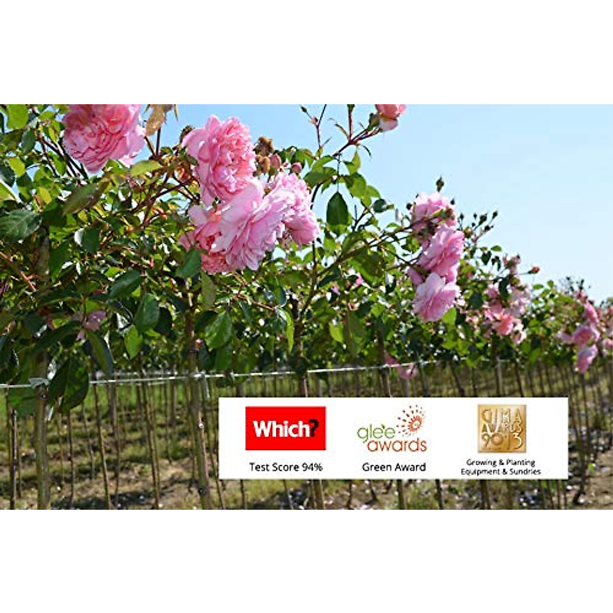 BioStretch Soft Plant Ties for Climbing Plants (Stretchy Green Garden Twine and Plant String - Green Bio Roll X 1)