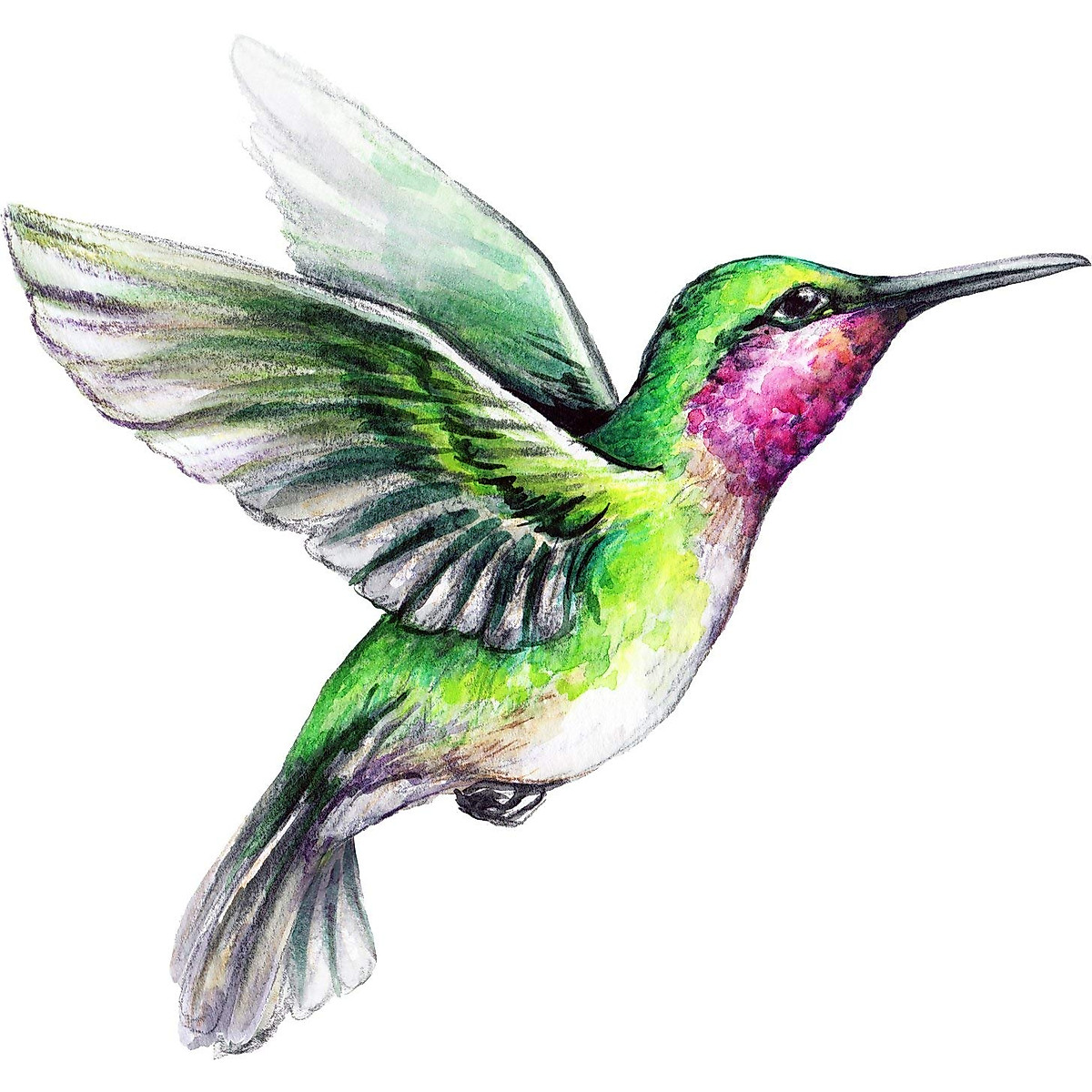 Magnet Beautiful Vibrant Colored Hummingbird Art #5 Vinyl Magnet (4" Wide)