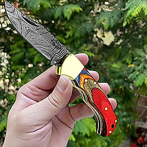 Multi Wood Unique Beautiful 6.5'' Custom Handmade Damascus Steel Brass Bolster Back Lock Folding Pocket Knife Sharpening Rod 100% Prime Quality Plus Beautiful Blue Wood Stainless Steel Pocket Knive