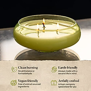 Paddywax Candles Realm Candle, 13.5 Ounces, Green, Bamboo