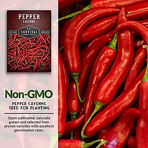 Survival Garden Seeds - Red Cayenne Pepper Seed for Planting - Packet with Instructions to Plant and Grow Hot Chili Peppers in Your Home Vegetable Garden - Non-GMO Heirloom Variety - Single Pack