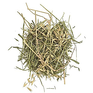 F.M. Brown's Tropical Carnival Natural Timothy Hay Craveables with Veggies, Fruits, and Oat Sprays, Foraging Treat with High Fiber for Healthy Digestion - 48 oz