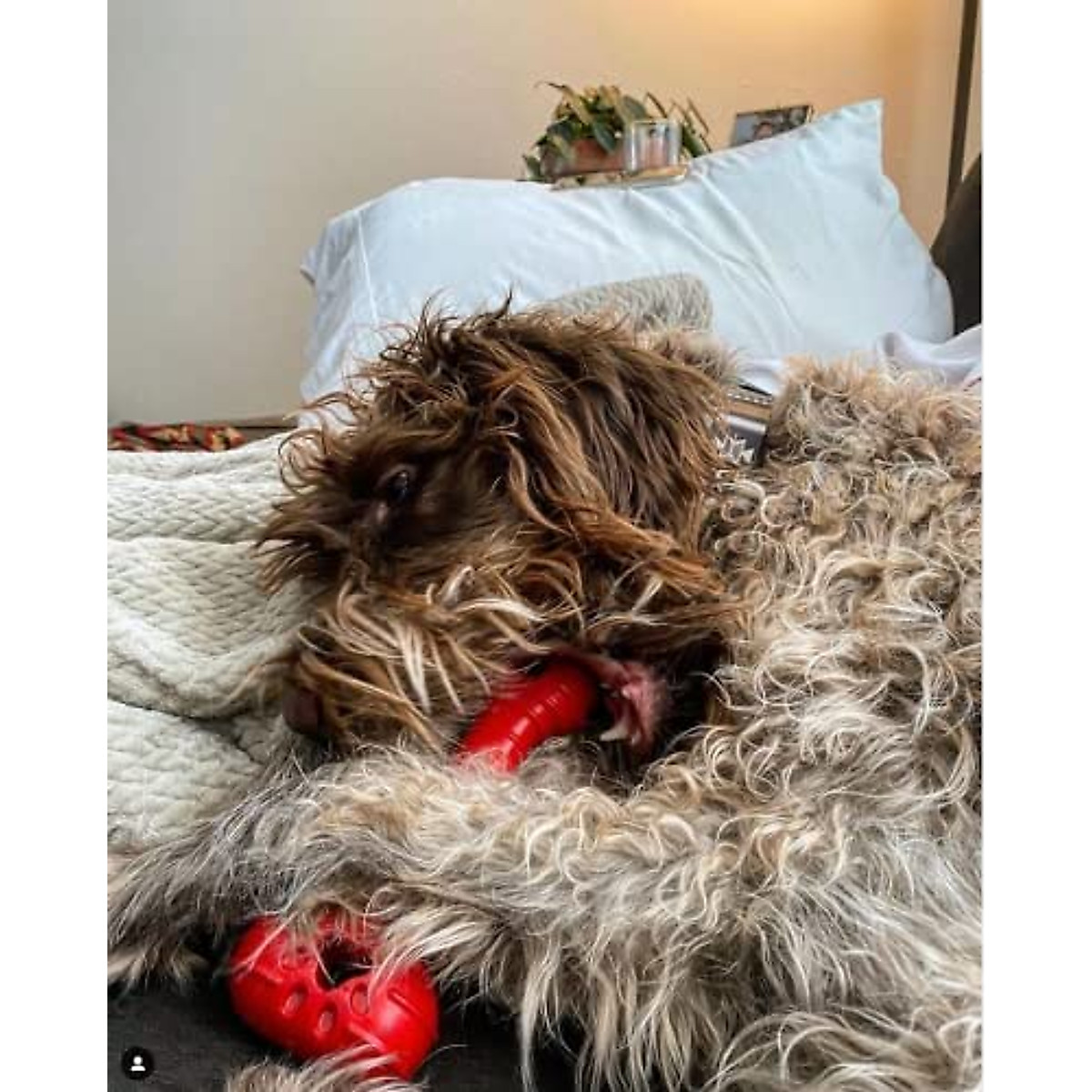 Jersey Dog Co. Chompi Bone Dog Toy, Chew Bone, Made in USA