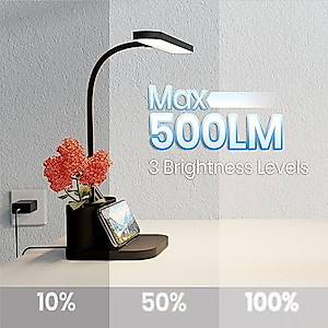 AXX Desk Lamp for College Dorm Room, School Study Supplies for Teens Kids, Office Desk Lights with Organizer/Storage, Desktop Lamp for Bedroom, LED, Small, Black, Pen Holder, Gooseneck