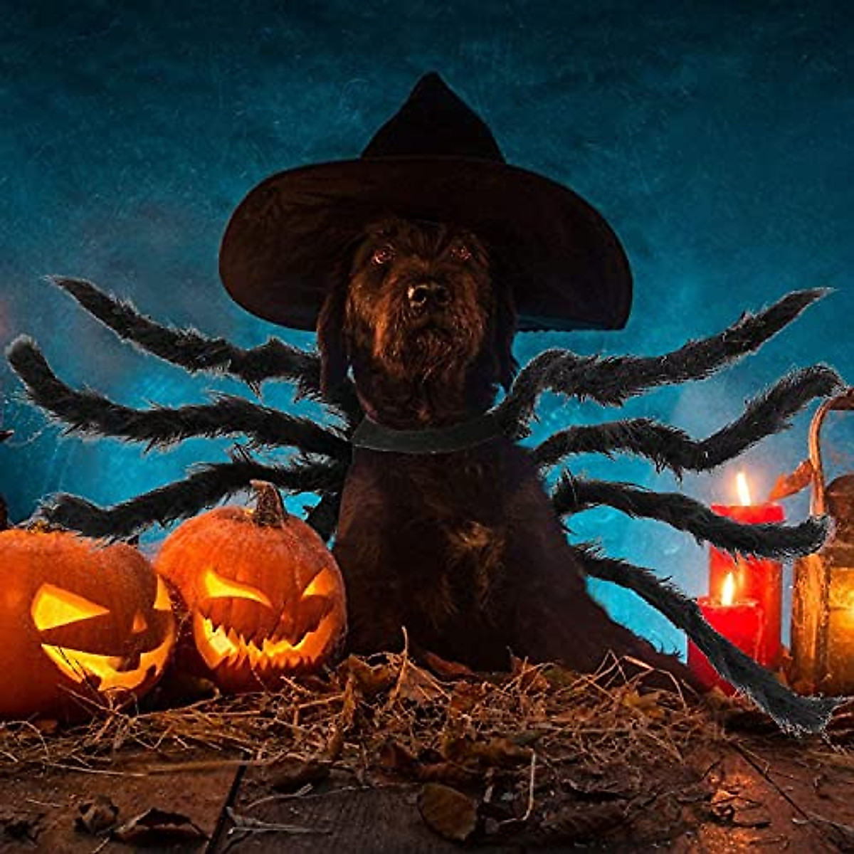 Halloween Costume for Pets Dogs Spiders Sweatshirt Cosplay Apparel Clothes Pets Dogs Halloween Funny Dog Puppies Theme Party Costume for Medium Large Dog Costume