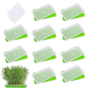 EBaokuup 10Pcs Seed Sprouter Tray with Drain Holes - BPA Free Seed Garden Plant Germination Propagation Trays, Soil-Free Wheatgrass Tray Sprouter Microgreens Growing Kit with Germinating Paper