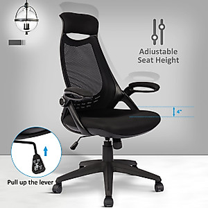 HYLONE Office Desk Chair Ergonomic, Mesh Computer Chair with Headrest, Flip Up Arms, Lumbar Support, Height Adjustable (Black)
