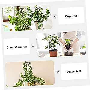 YARNOW 6 Pcs Cucamelon Plants Floral Vines Green Roses Trellis for Climbing Plants Outdoor Plant Vine Trellis Plant Grow Potted Plants Climbing Holder Orchid Climbing Rack Garden Supplies