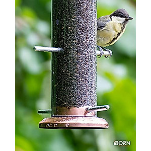 iBorn Metal Bird Feeder Thistle Bird Feeder,Finch Feeders for Thistle Seed,Tube Feeder Hanging Hook 14 Inch Brushed Copper