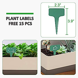 GROWNEER 3 Packs 12 Inches Window Boxes Rectangle Planter with 15 Pcs Plant Labels, Plastic Flower Pots Plant Containers with Saucer for Windowsill Garden Balcony Home Office Indoor Outdoor (Beige)