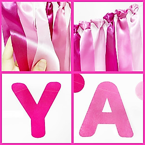 Hot Pink Birthday Felt Party Decorations for Girls Women Happy Birthday Banner Pink Ribbon Garland Balloon Backdrop Happy Birthday Decorations for Hot Girl Bday Princess Theme Birthday Party Supplies