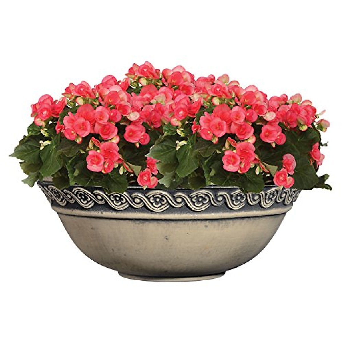Classic Home and Garden Corinthian Bowl 12" Planter, Cast Concrete