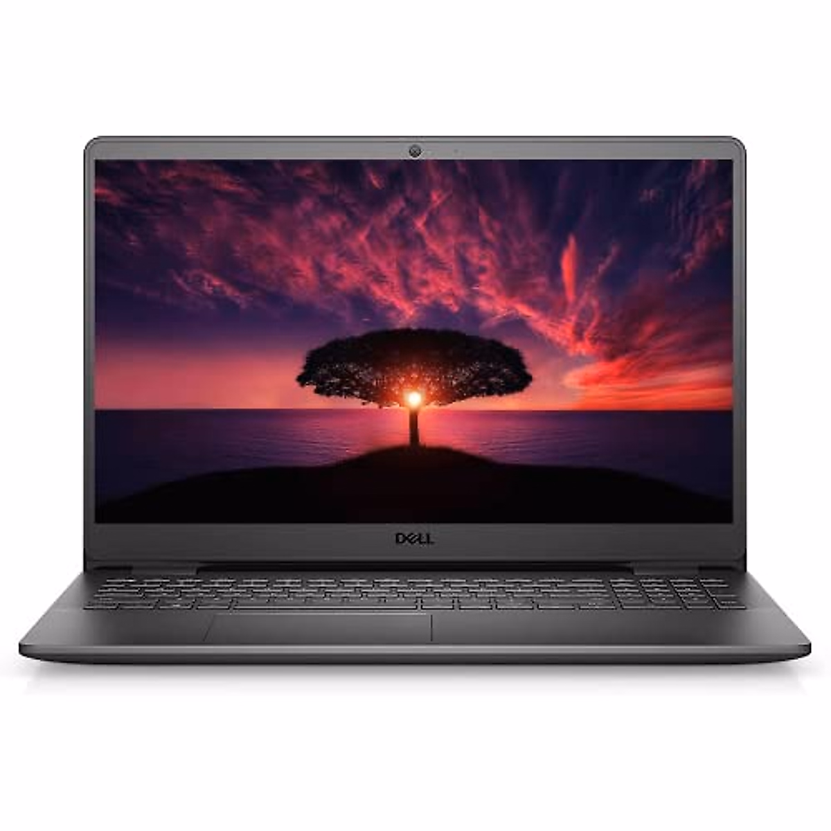 Dell Inspiron 3000 Business Laptop, 15.6 HD Display, Intel Celeron Processor N4020, Windows 10 Home, 16GB RAM, 1TB HDD, WiFi, Webcam, Bluetooth, HDMI, SD Card Reader, Black