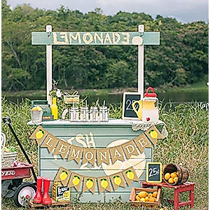 JOZON Lemonade Burlap Banner and Lemon Burlap Banner Jute Summer Lemon Theme Bunting Banner Garland Summer Lemon Theme Birthday Baby Shower Party Decor Lemonade Stand Decorations