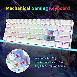 NACODEX STK61 2.4Ghz Wireless/Bluetooth/Wired 60% Mechanical Keyboard | 1000mAh Ultra Compact Rainbow Backlit Gaming Keyboard Wired Programmable for Win/Mac/PC Gamer