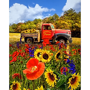 Wildflowers Farm Digital Cotton Print Fabric Panel