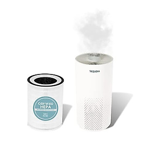 Vive Sequoia Air Purifier- Home Air Purifier Large Room, Car, Bedroom, Office, Door Room, Desk - Portable Quiet Air Cleaner for Dust, Allergies, Odors, Smoke, Pollen - HEPA Filter, 3 Stage Filtration