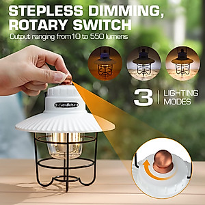 EverBrite LED Camping Lantern, USB C Rechargeable Lantern with 3 Light Modes, Vintage Outdoor Lanterns with Power Bank Function for Power Outages, Hurricane, Emergency, Fishing