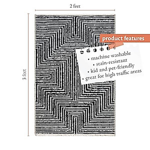 Indigo Ink - Washable Area Rug, Stain Resistant, Easy to Clean, Black/White Geometric Boho Decor, Dorm Room Essentials, for Living Room, Bedroom, Office (2' x 3', Panther Collection)