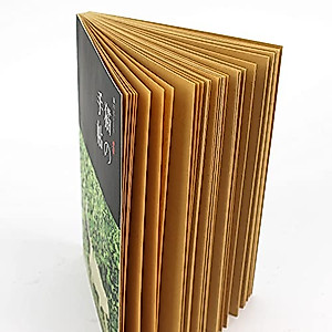 CLARA Cute Cat Journal Notebook Japanese Sketchbook with Antique Binding and Hand Painted Cover(Jungle Cat)