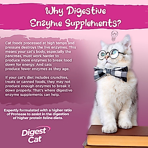 Vital Planet - Digest Cat Digestive Pancreatic Enzyme Blend with Pumpkin and Ginger to Support the Pancreas and Healthy Digestion with Pancreatin, Salmon Flavored Powder for Cats - 111 Grams 30 Scoops