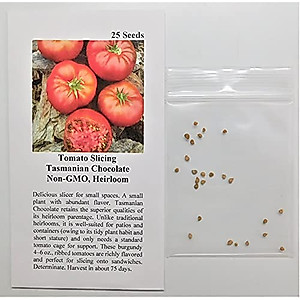 David's Garden Seeds Tomato Slicing Determinate Tasmanian Chocolate 4328 (Red) 25 Non-GMO, Heirloom Seeds