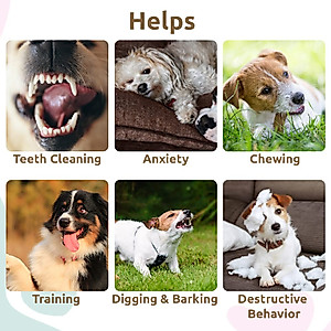 SIMENA Tough Chew Toys for Dog Teeth Cleaning, Teething Toy for Medium Breeds, Dog Toothbrush Toy, Use with Peanut Butter or Toothpaste, Dog Chew Sticks (Bone, Blue)