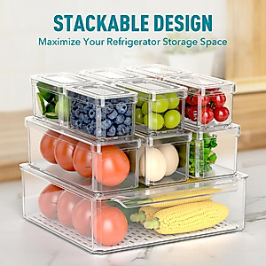 Nibiuht Fridge Organizers and Storage Set - 10 Pack Refrigerator Organizer Bins with Lids, BPA-free Stackable Fruit Container for Refrigerator, Clear Fridge Organization for Food, Vegetable