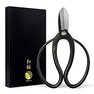Wazakura Koryu Flower Arrangement Ikebana Scissors 6.5 in (165mm) Made in Japan, Floral Arrangement Hasami, Japanese Kado Tools - Yasugi Steel Koryu Scissors