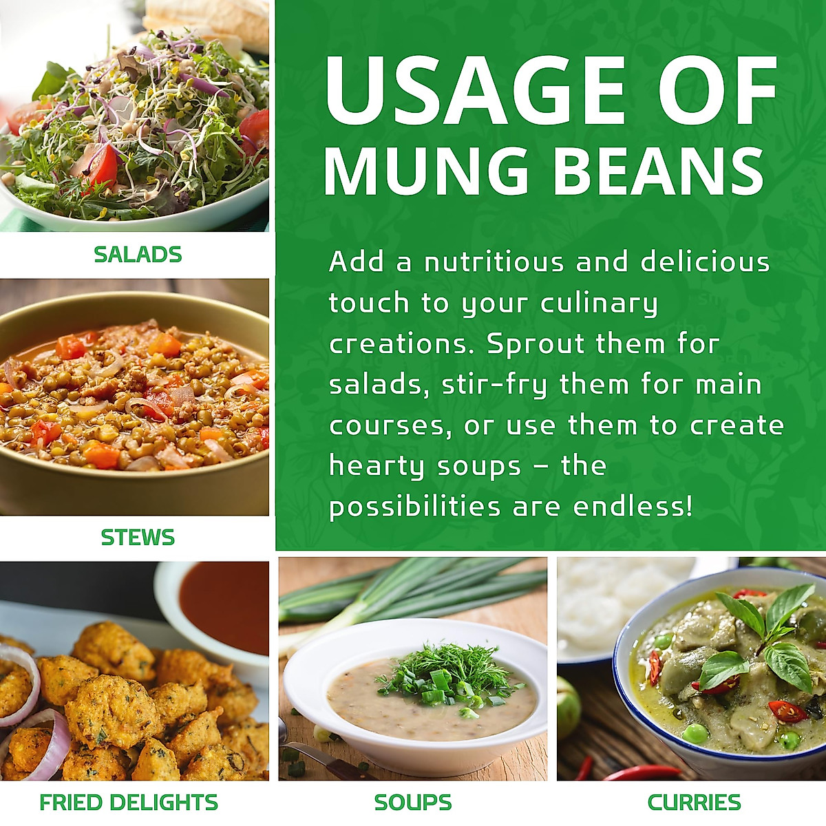 Jiva Organic Mung Bean - Mung Moong Beens Whole for Sprouting and Cooking - 2 lb Bean Bag – Indian Spices