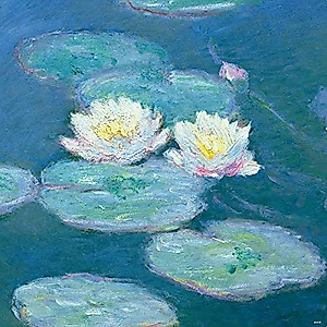 Skinit Decal Gaming Skin for PS4 Console - Officially Licensed Bridgeman Art Waterlilies, Evening Design